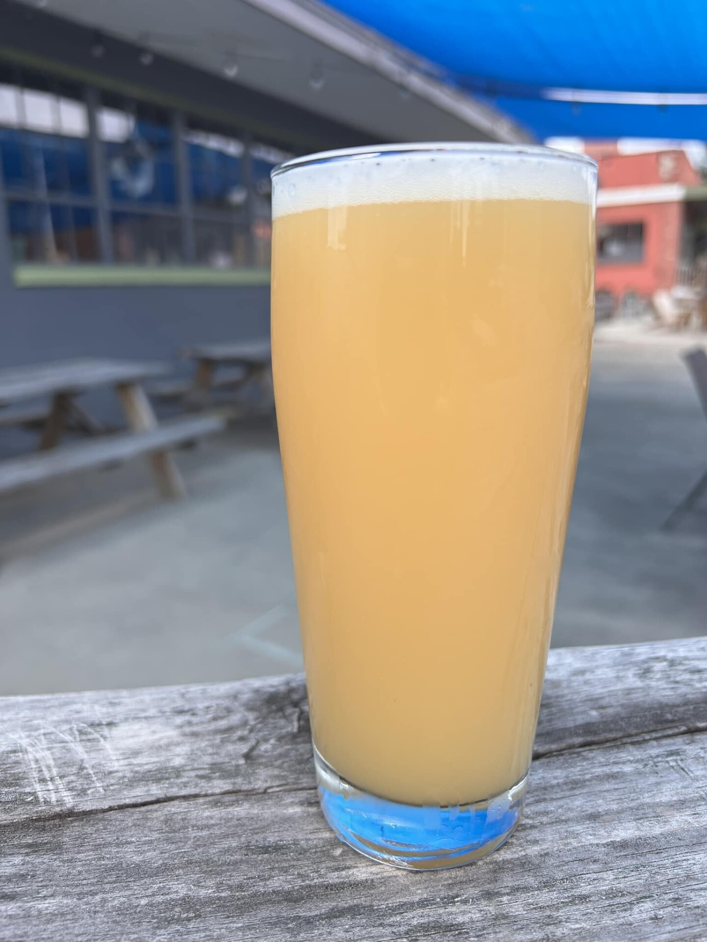 Liquid Roots Brewing