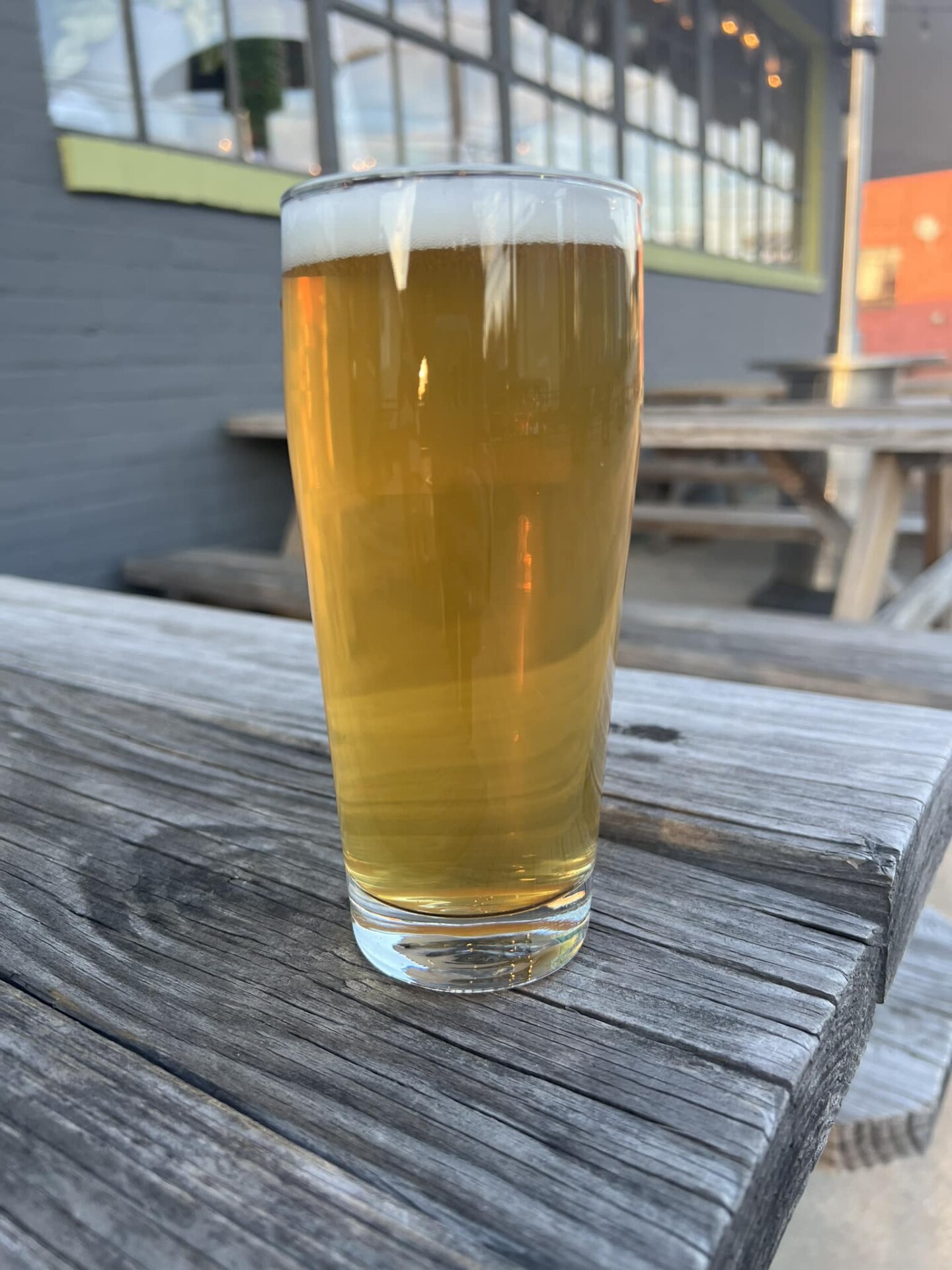 Liquid Roots Brewing