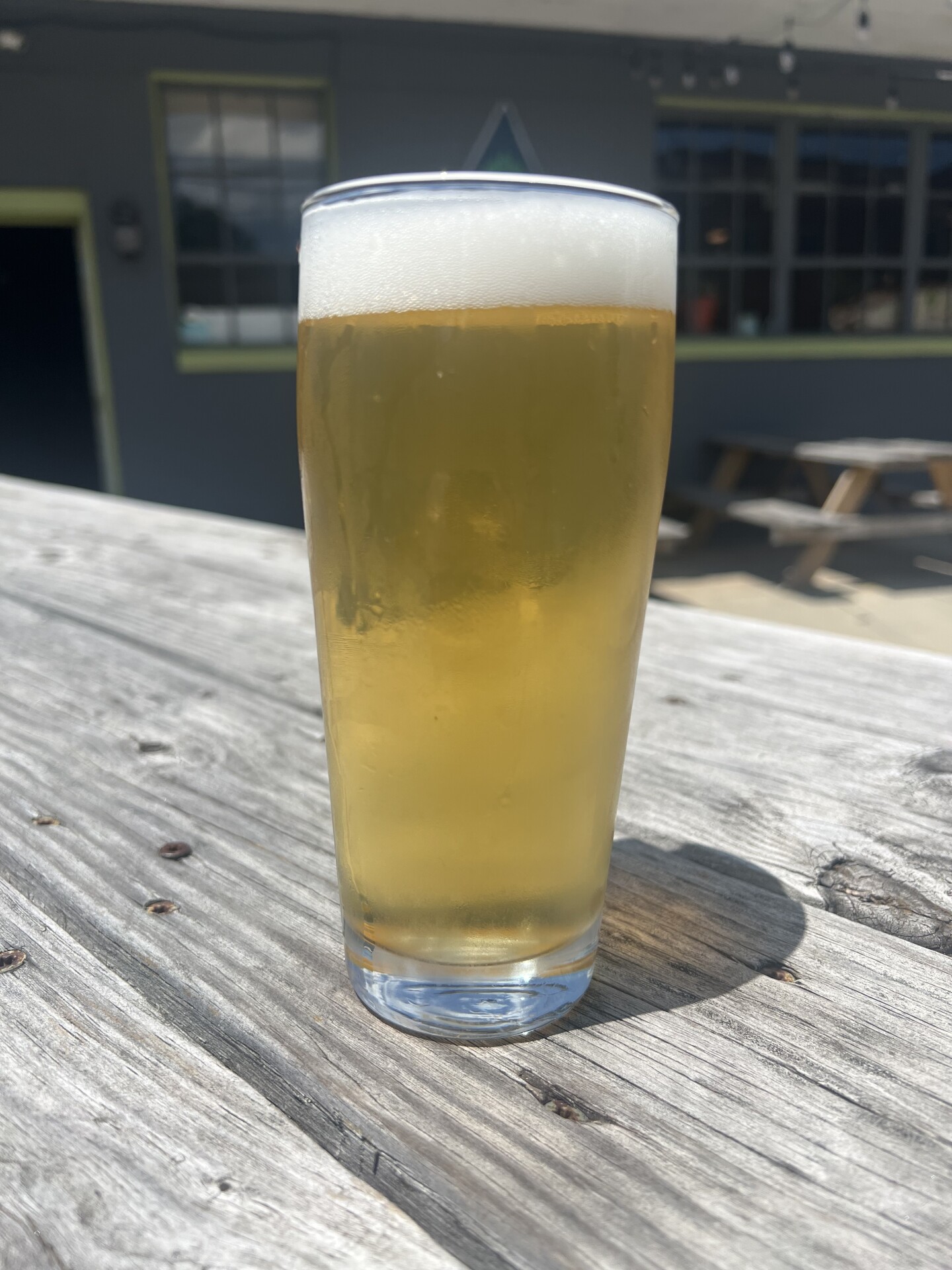 Liquid Roots Brewing