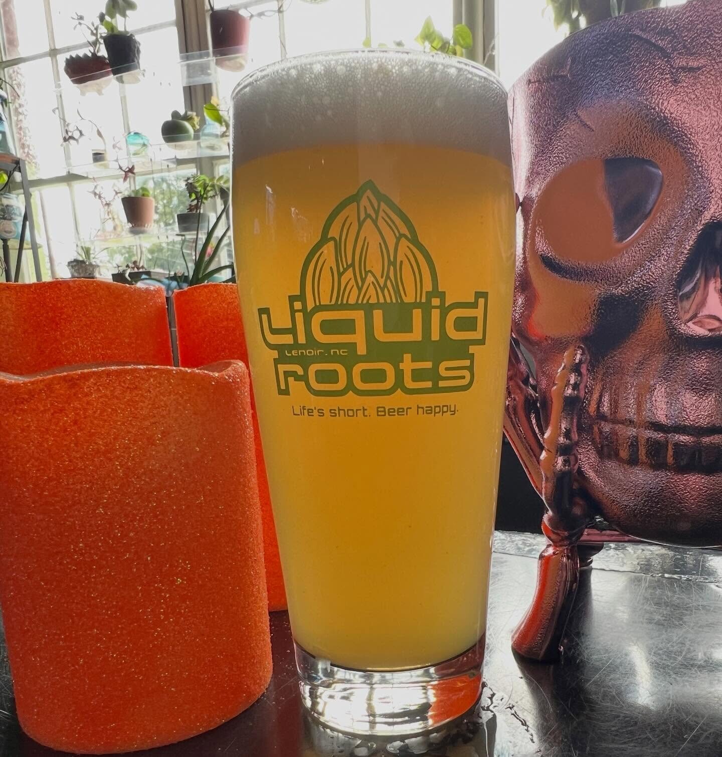 Liquid Roots Brewing