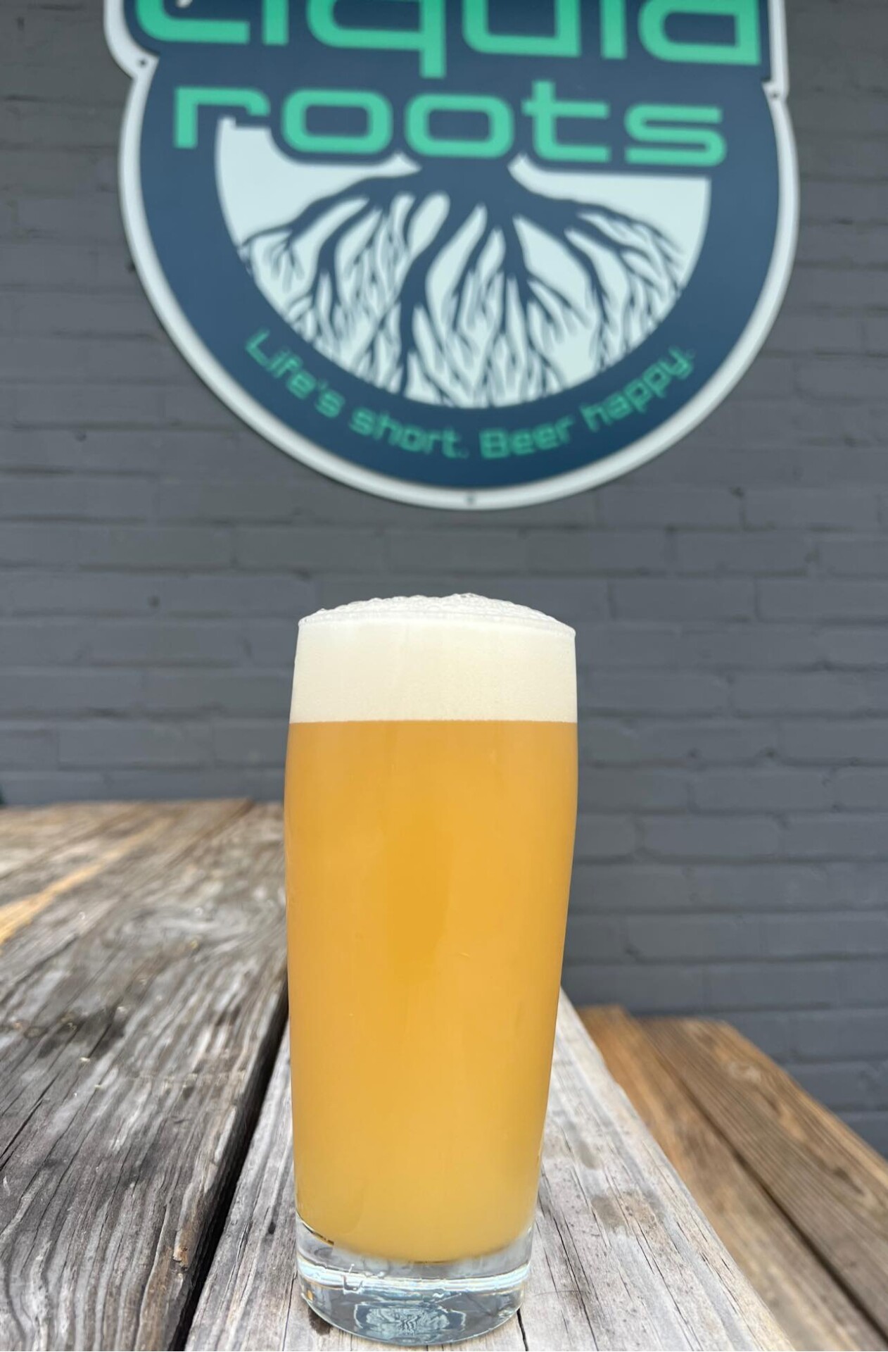 Liquid Roots Brewing