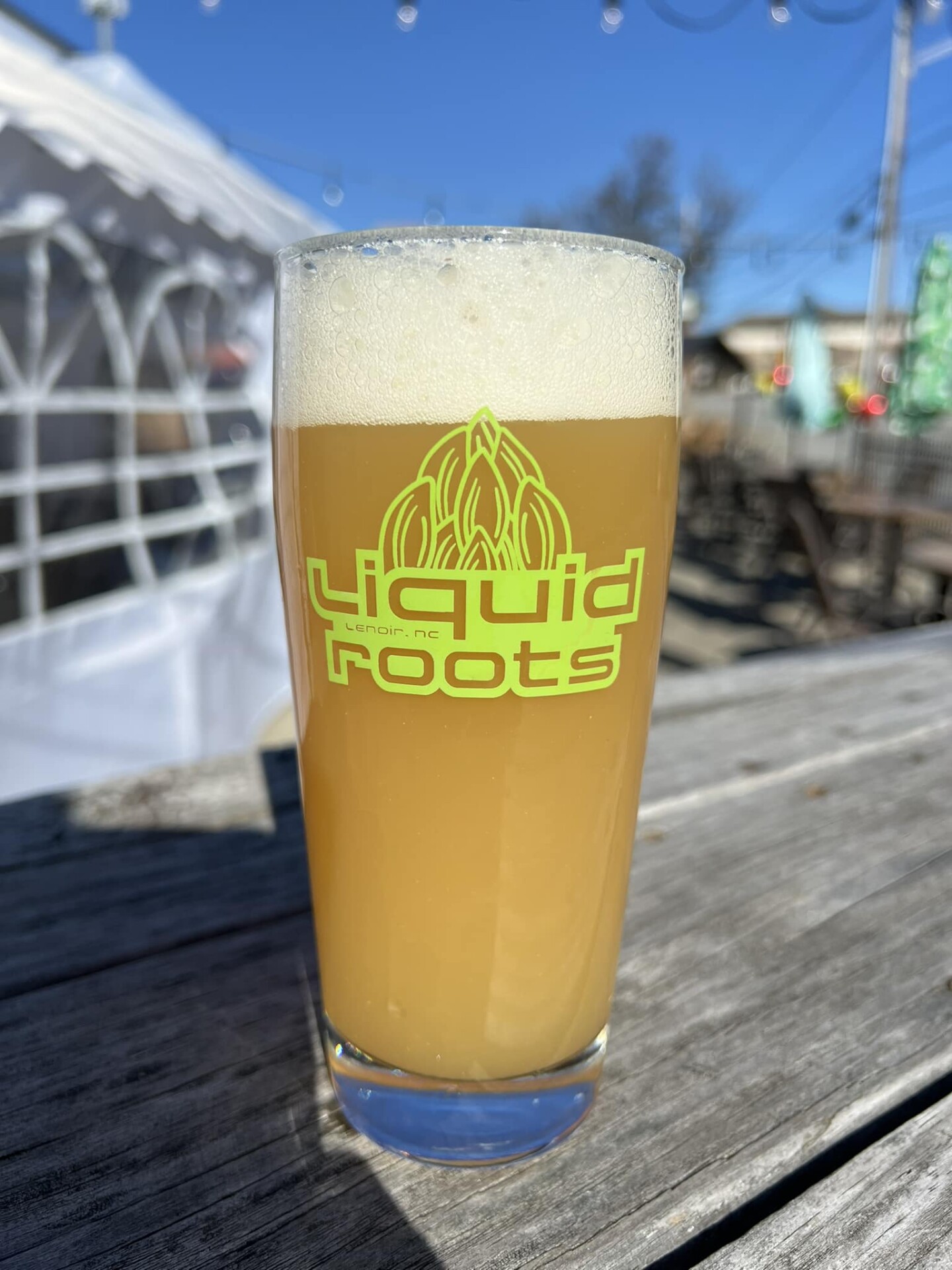 Liquid Roots Brewing