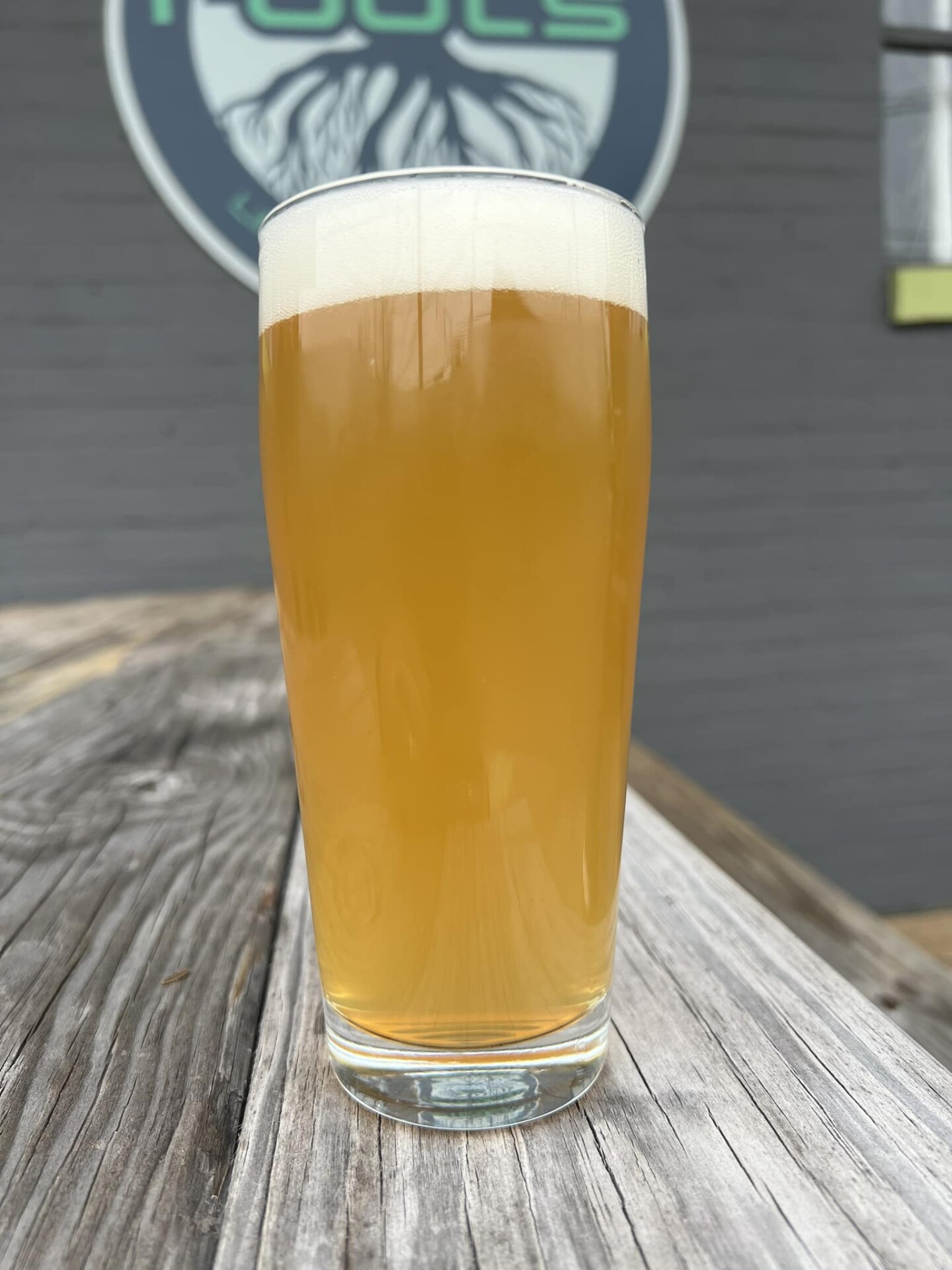 Liquid Roots Brewing